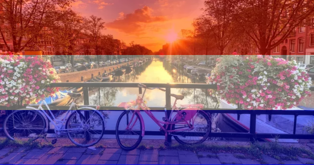 The Netherlands - E-rihs